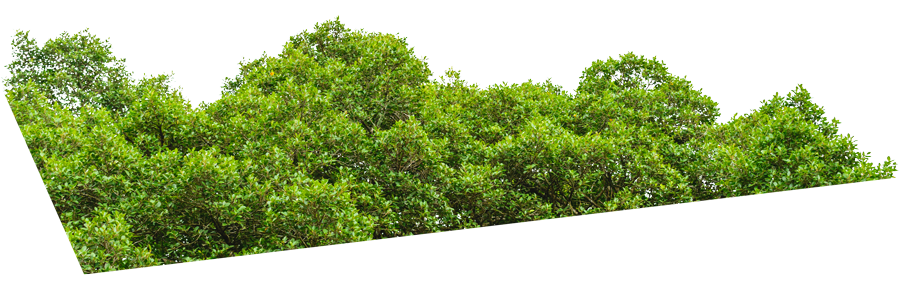 Design and Technology